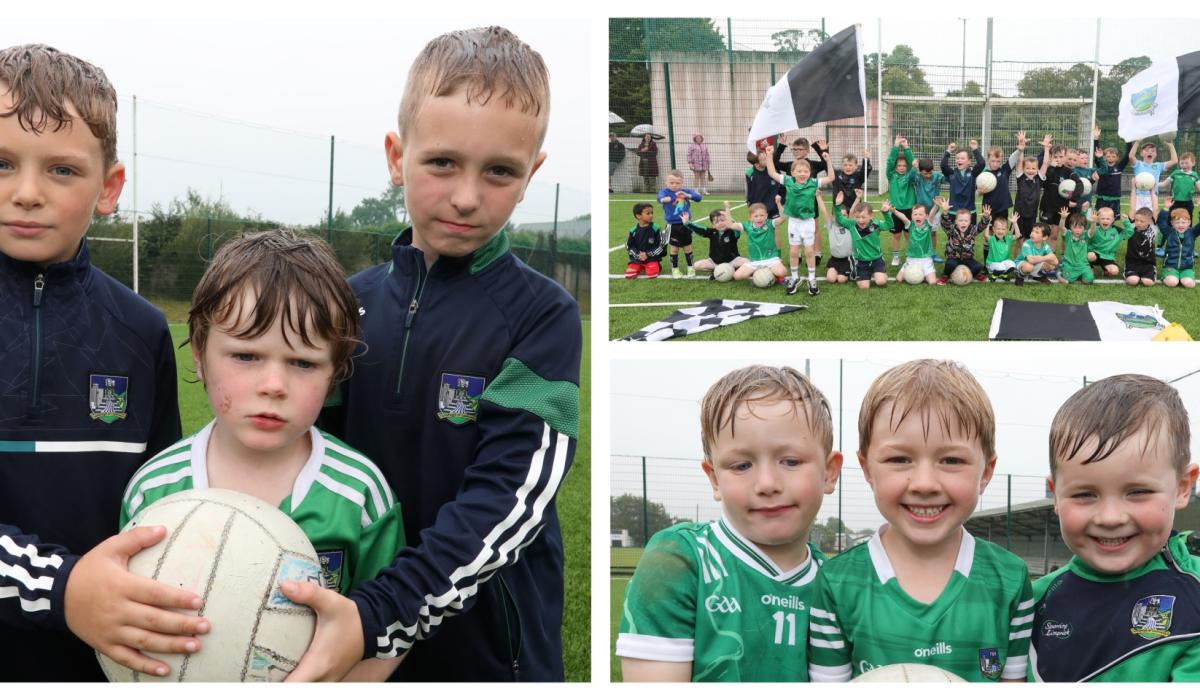 PICTURES: Newcastle West GAA Club cheering on the Limerick Football ...
