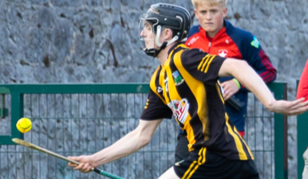 Garryspillane have too much for Bruff in Limerick Premier Intermediate ...