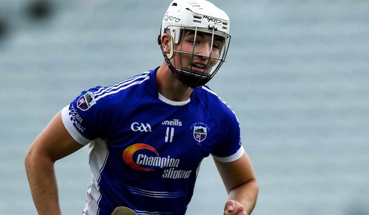 Kyle Hayes off injured as Kildimo-Pallaskenry and Newcastle West draw ...