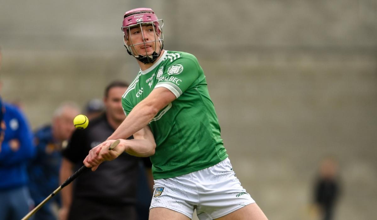 Limerick Senior Hurling Championship groups begin to take shape ...