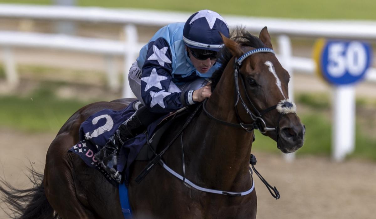 Limerick jockeys enjoy rich vein of form on the racecourse - Limerick Live