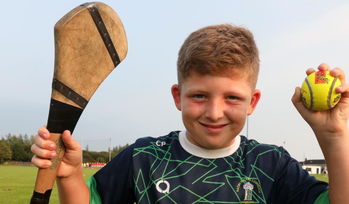 PICTURES: Supporters cheer on Monaleen and Na Piarsaigh in Limerick ...