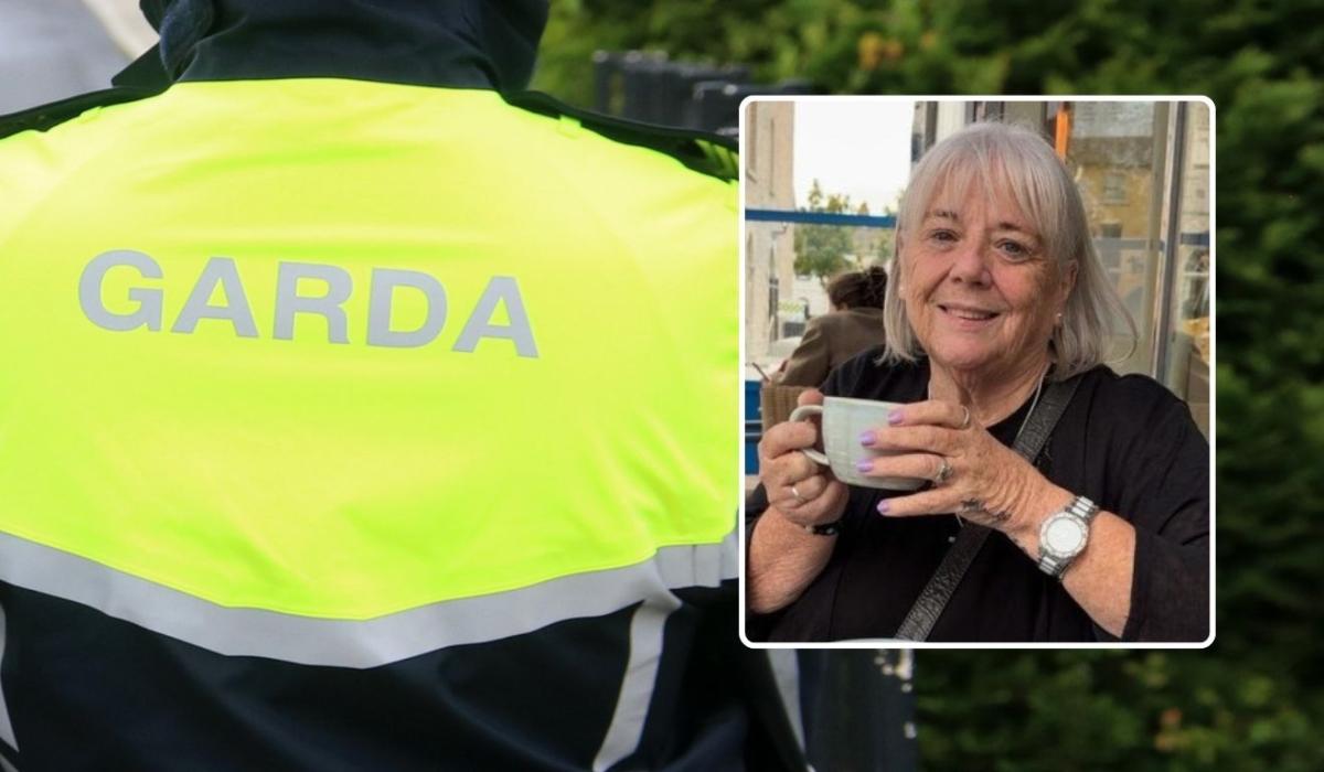 ALERT: Gardai issue urgent appeal amid concerns for wellbeing of missing woman - Limerick Live