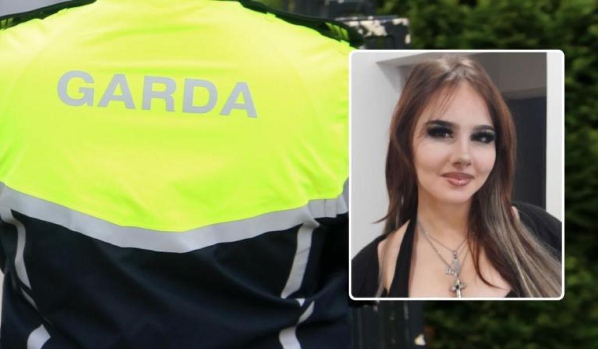 Gardai stand down search for missing 14-year-old from Laois amid significant development ...