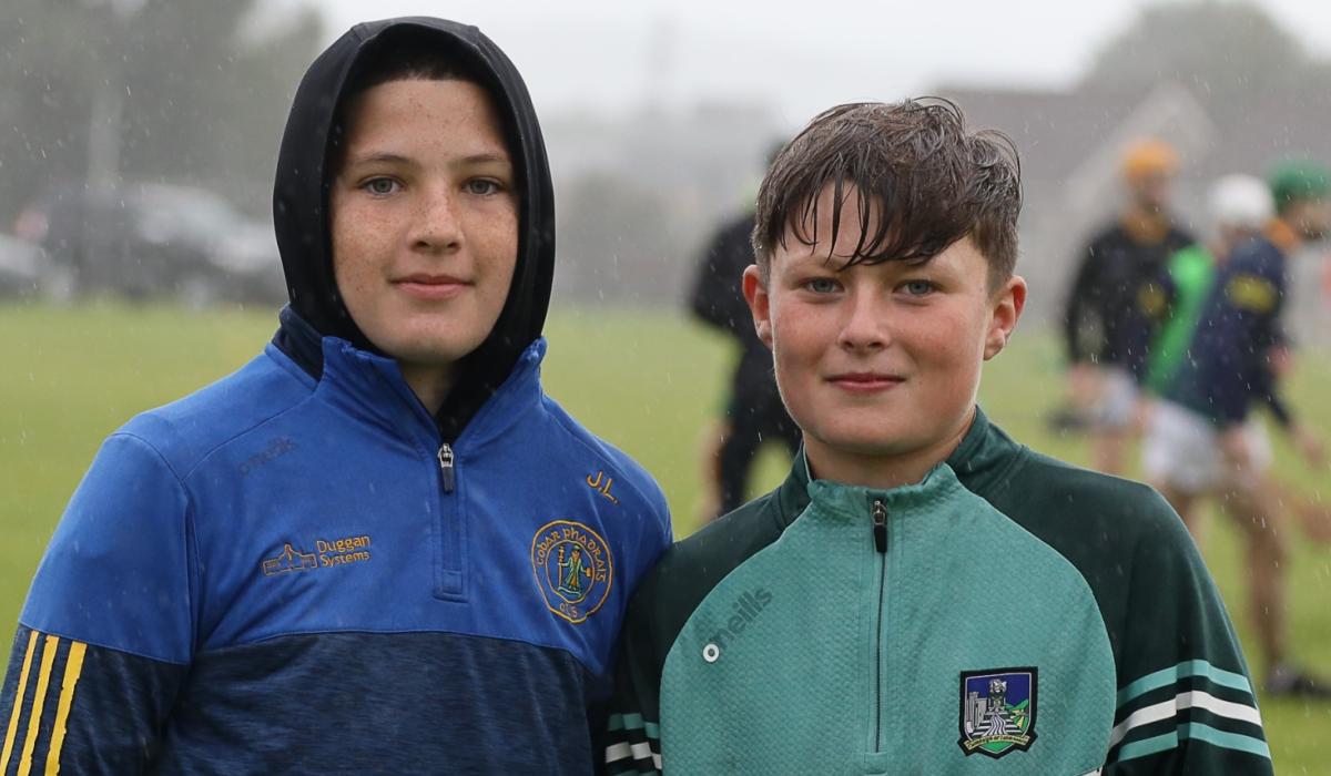 PICTURES: Supporters cheer on Ahane and Patrickswell in Limerick Senior ...
