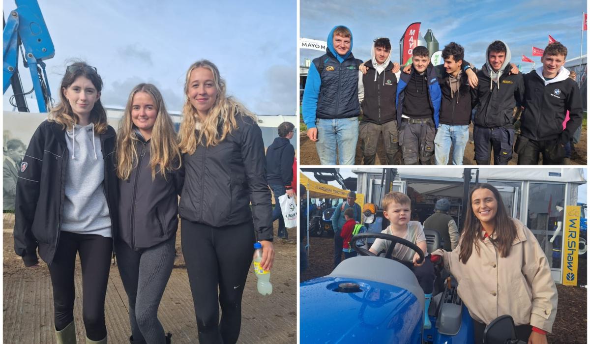 PICTURES: Limerick people spotted in crowd at the National Ploughing ...