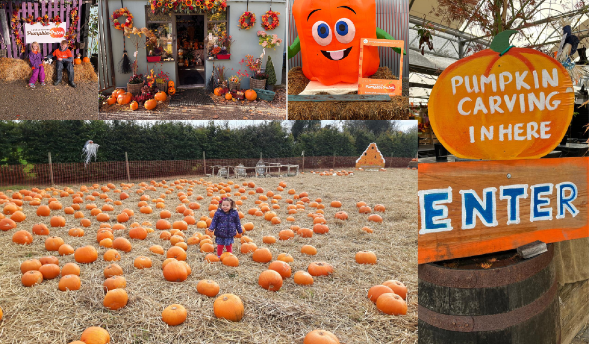 Curraghchase Pumpkin Patch: The best family Halloween event in Limerick ...