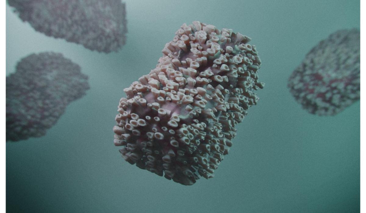 What is the Mpox virus as HSE confirms cluster of more serious strain ...