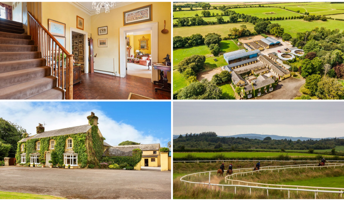 PICTURES: Well-known Irish horse trainer’s home and race track goes up ...