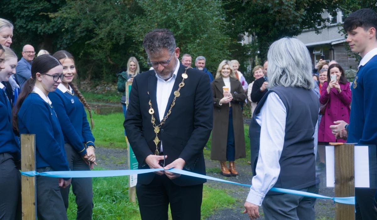 PICTURES: New wetland walk in Limerick taps into nature and wellbeing ...