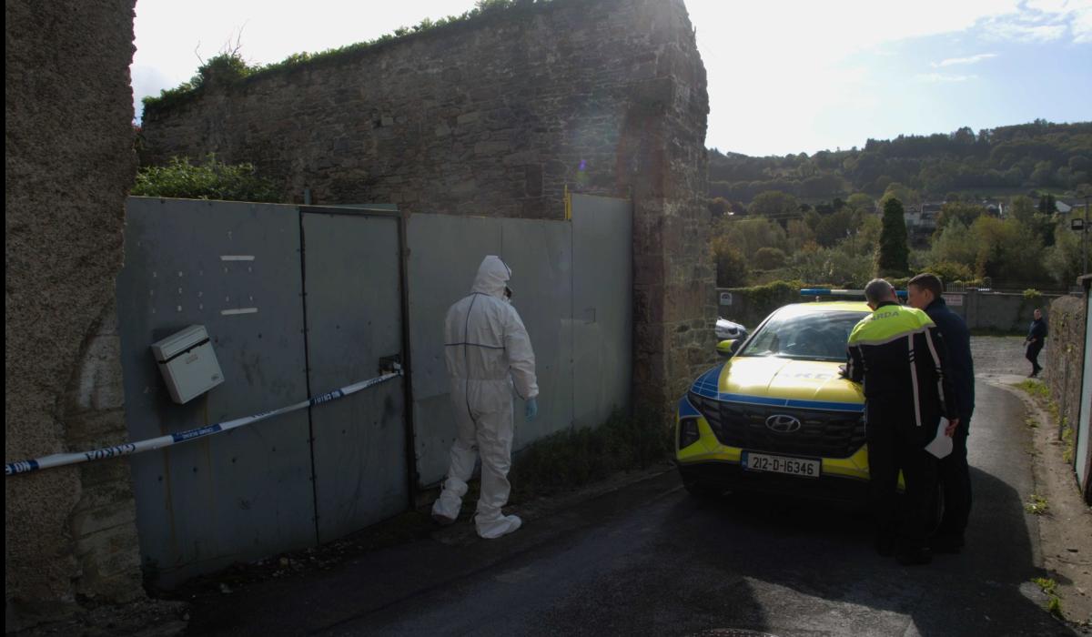 RIP: Shock and sadness as man (47) killed in Tipperary stabbing is ...