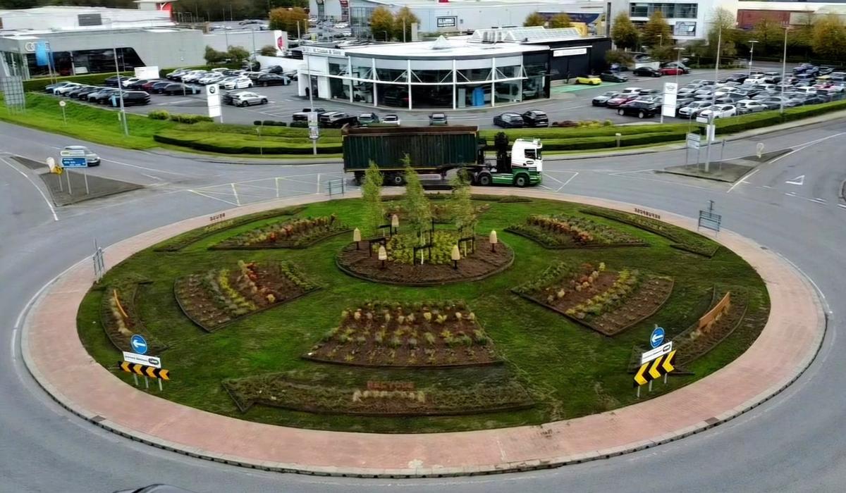 Limerick roundabout features repurposed metal and native plants | News ...
