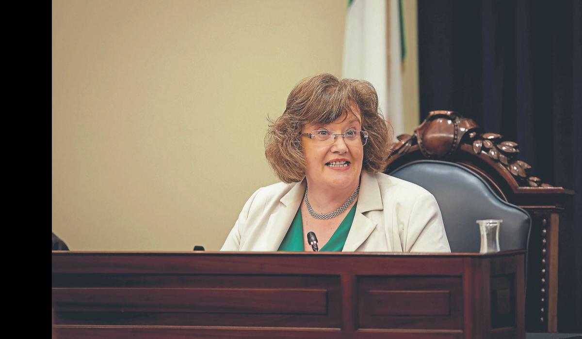 Proceeds of crime redirected into Limerick city community groups ...