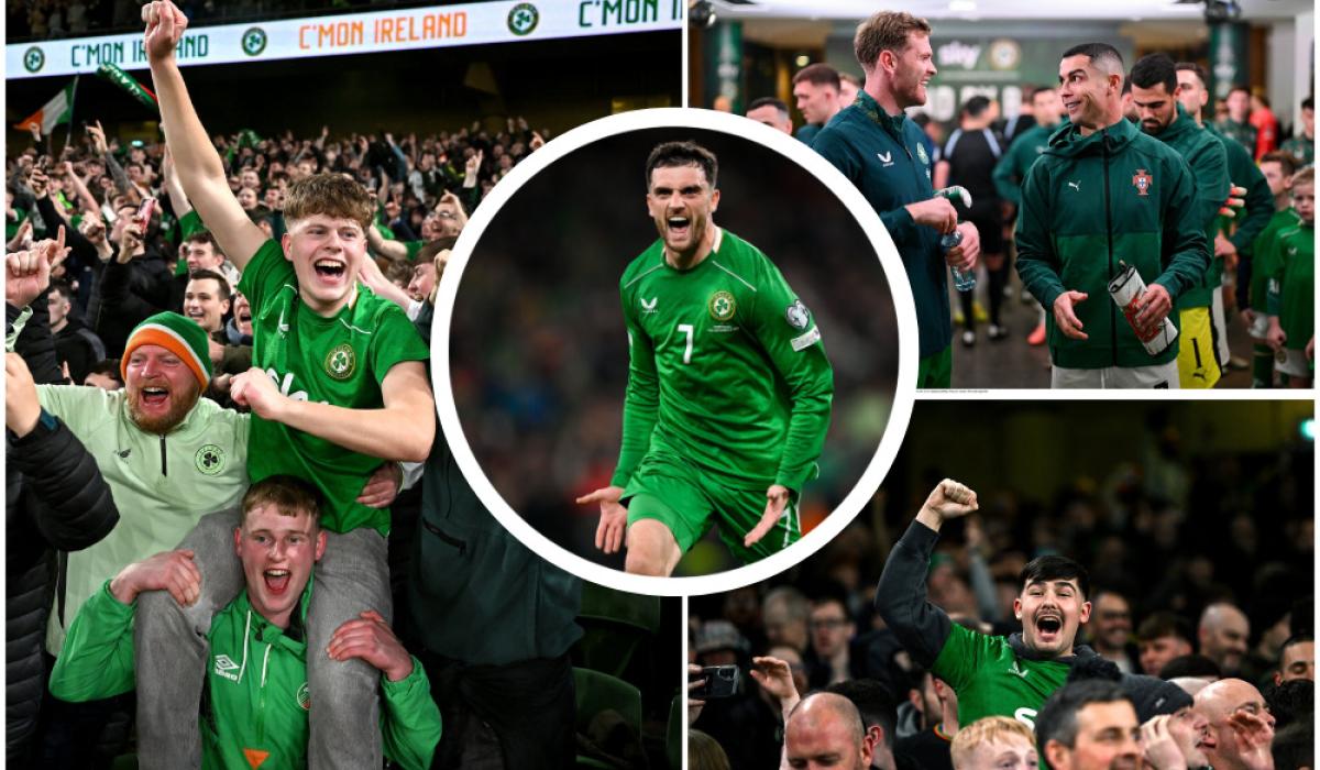 PICTURES: Relive amazing scenes from special night as Ireland beat ...