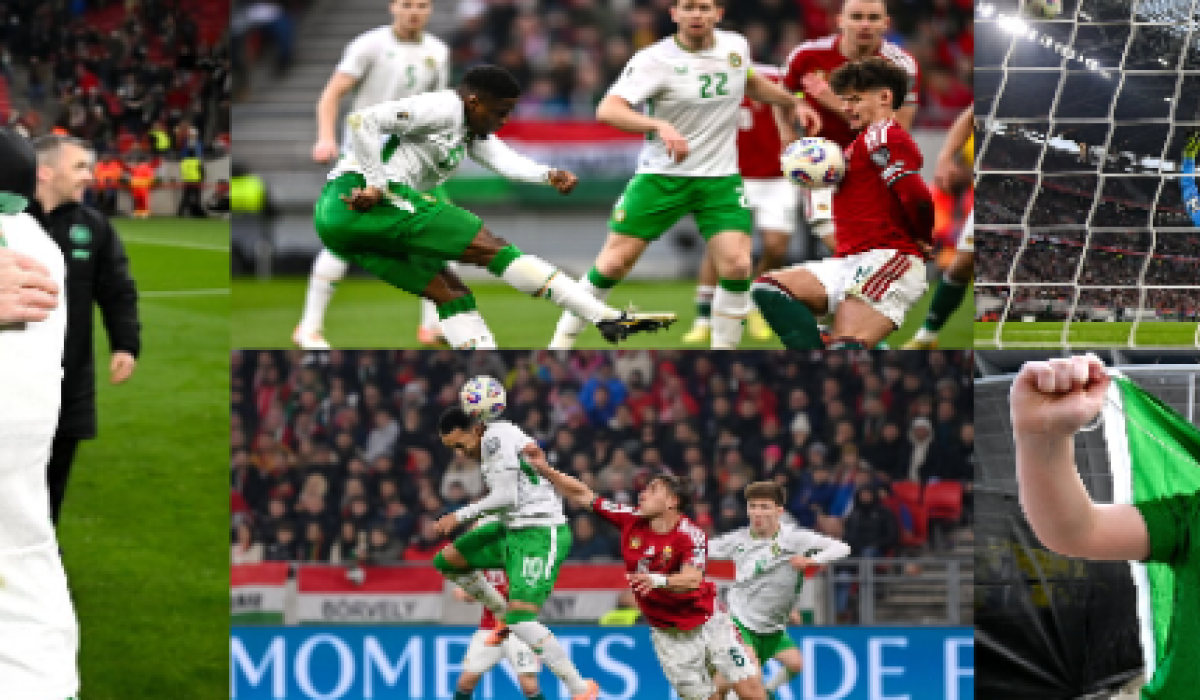 PICTURES: Relive the ecstasy as Troy Parrott secures Ireland's place in ...