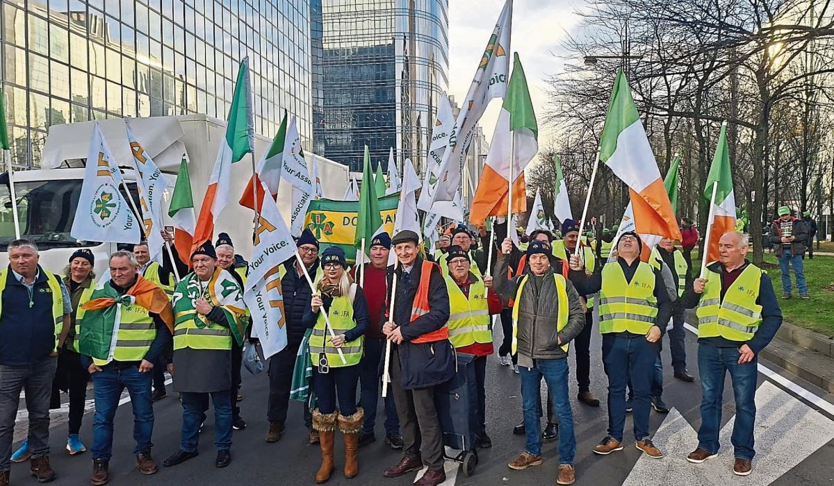 Limerick IFA flag waved proudly at huge farmer protest in Brussels ...