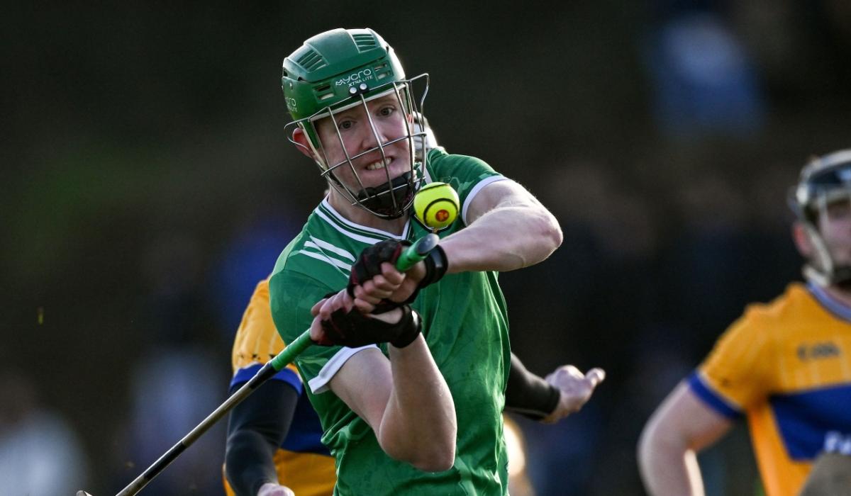 Limerick side to face Waterford in Munster Senior Hurling League final ...