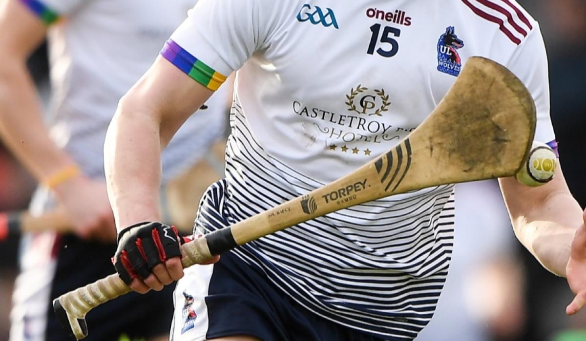 Limerick hurling's rising stars in All-Ireland Fresher semi final as UL ...