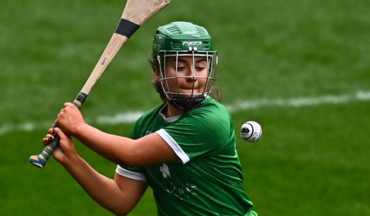 Limerick confirm team for All-Ireland opener with Antrim - Limerick Live