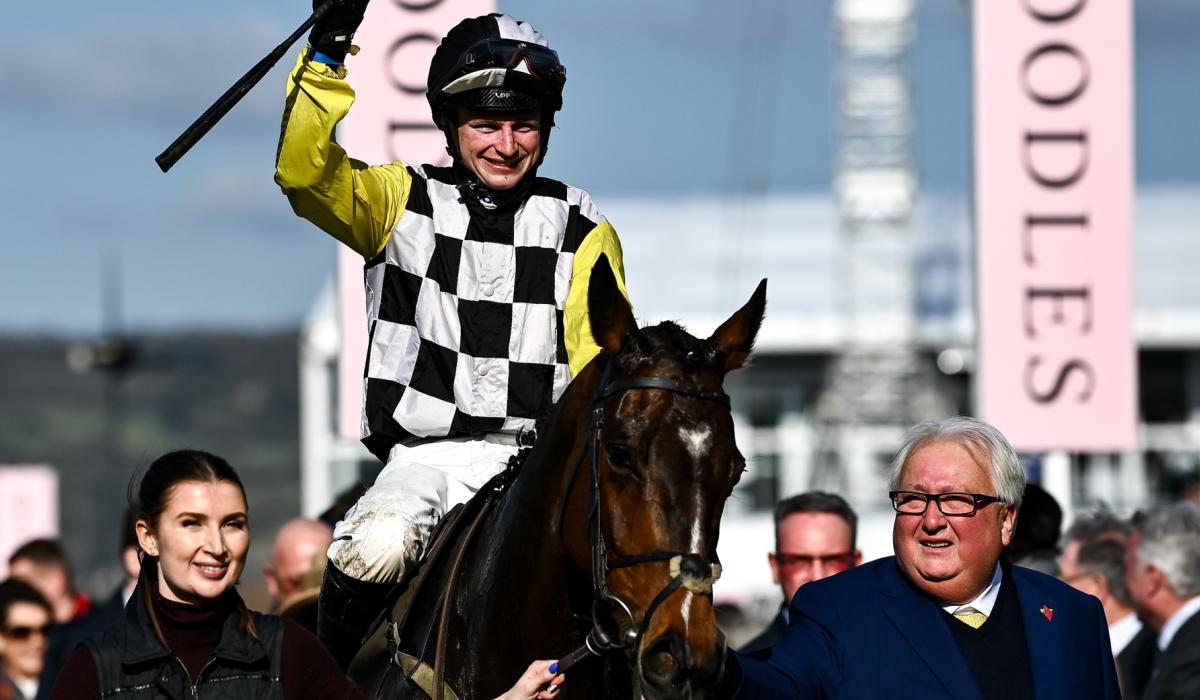 Iconic Media owner enjoys Grade 1 winner at Cheltenham - Limerick Live