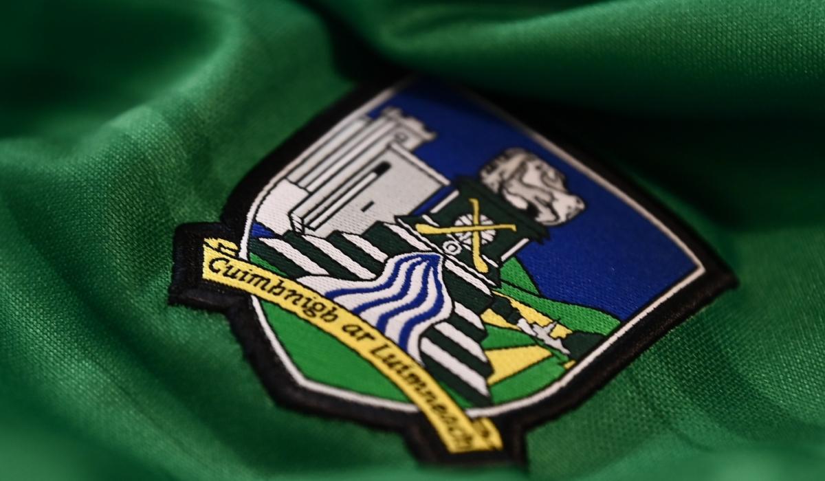 Limerick Underage Hurling Academy recruiting new coaches for the 2023 ...