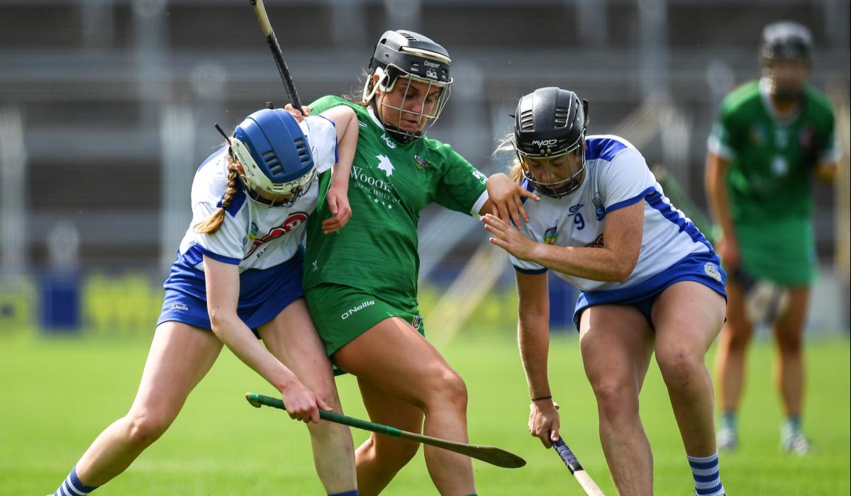 Lillis reveals team for Limerick's Very Camogie League clash with ...