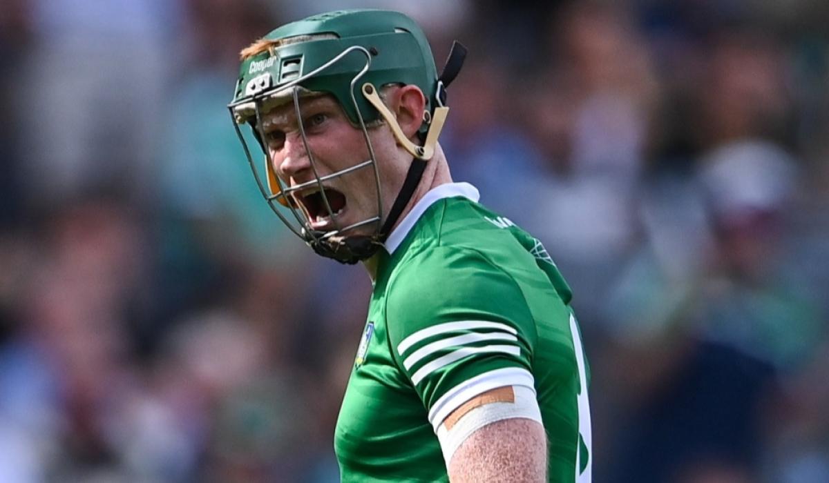 Key Limerick player set to miss hurling league final - Limerick Live