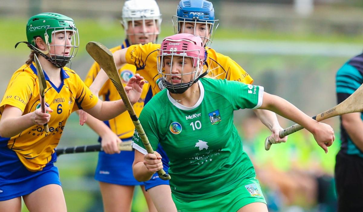 Limerick camogie reveal underage managements and panels for 2024 ...
