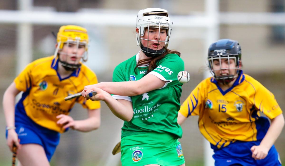 Limerick's All-Ireland minor camogie final fixed for Nowlan Park ...