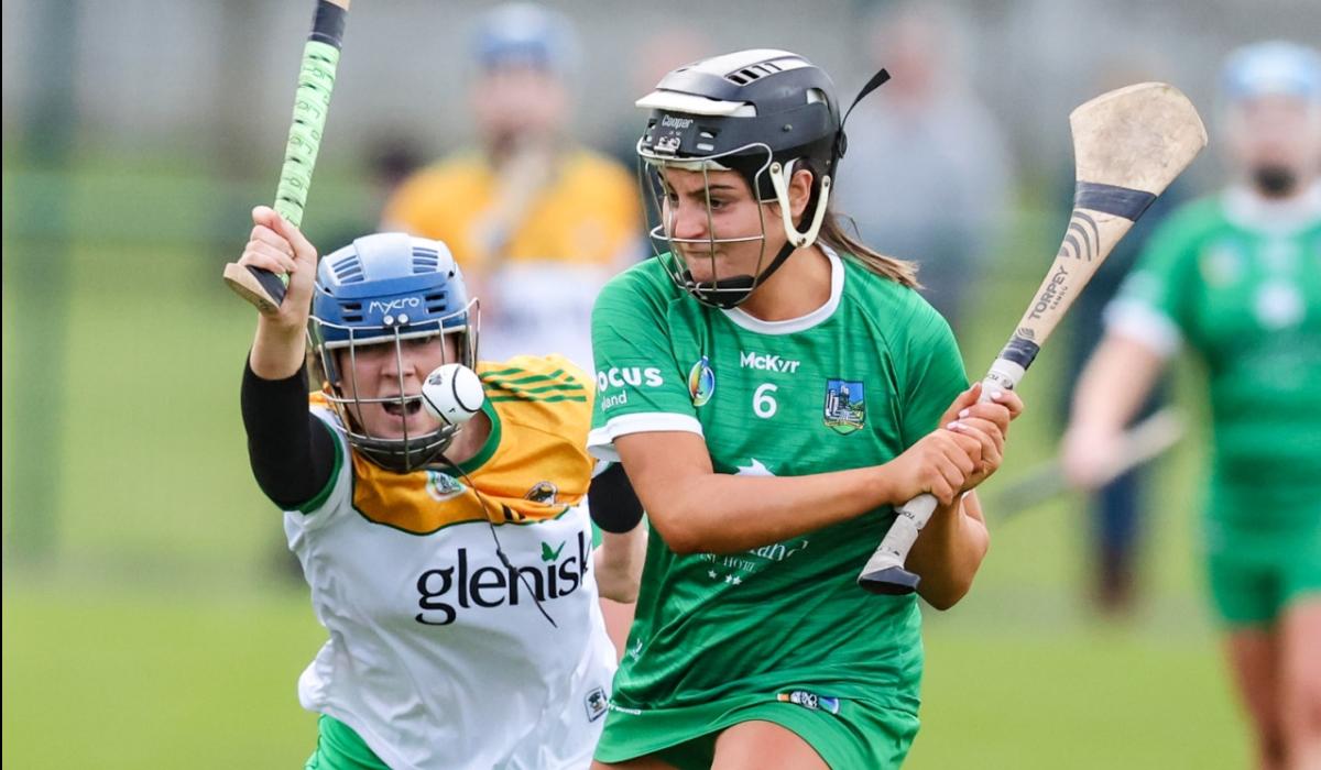 Limerick senior camogie team confirmed for Munster semi-final with ...