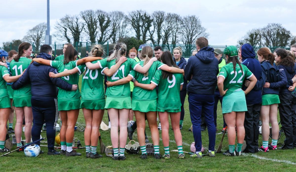 Limerick senior camogie side face Clare in Munster semi-final ...