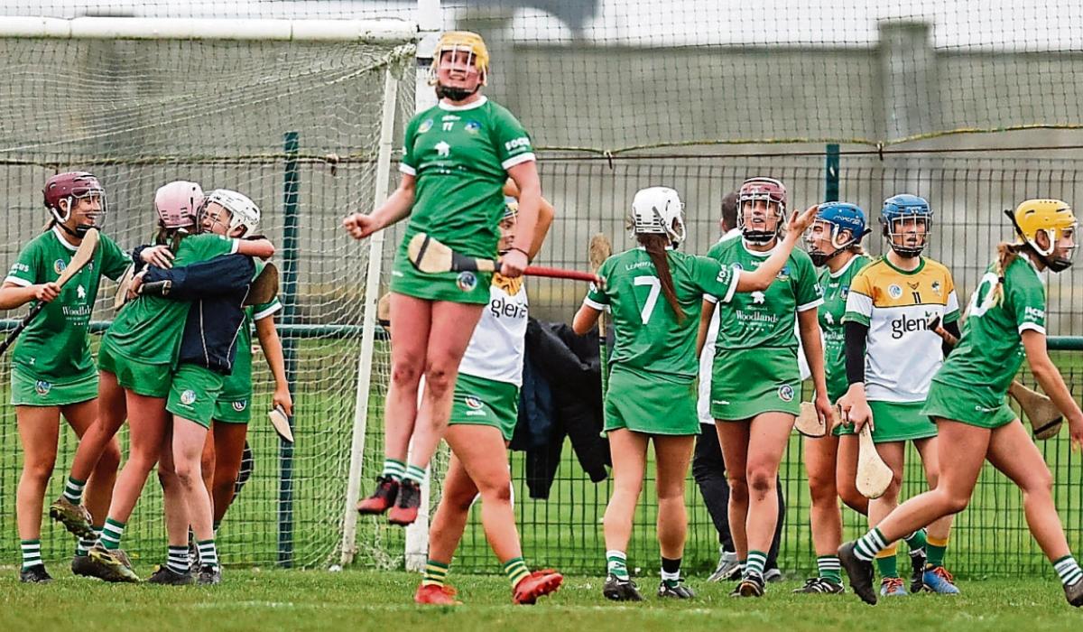 Limerick senior camogie team begin All-Ireland Championship with trip ...