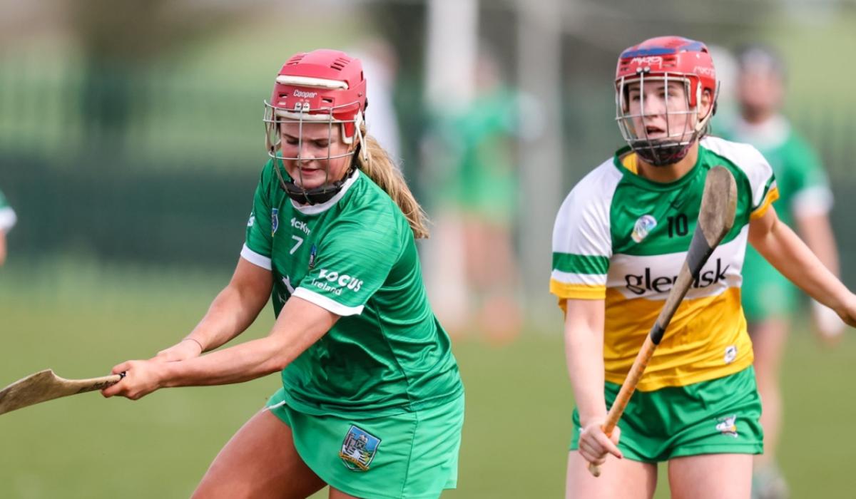 Limerick announce side for All-Ireland junior camogie opener against ...