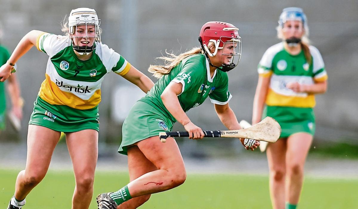 Limerick junior camogie side up against Roscommon in All-Ireland ...