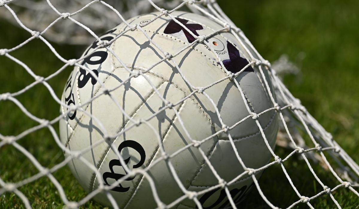 Heartbreak for Limerick's Monagea after Munster Club Ladies ...