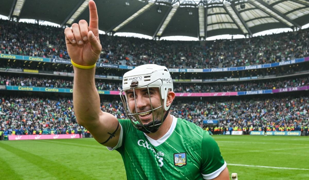Three Limerick stars vie for Hurler of the Year gong at the 2023 All ...