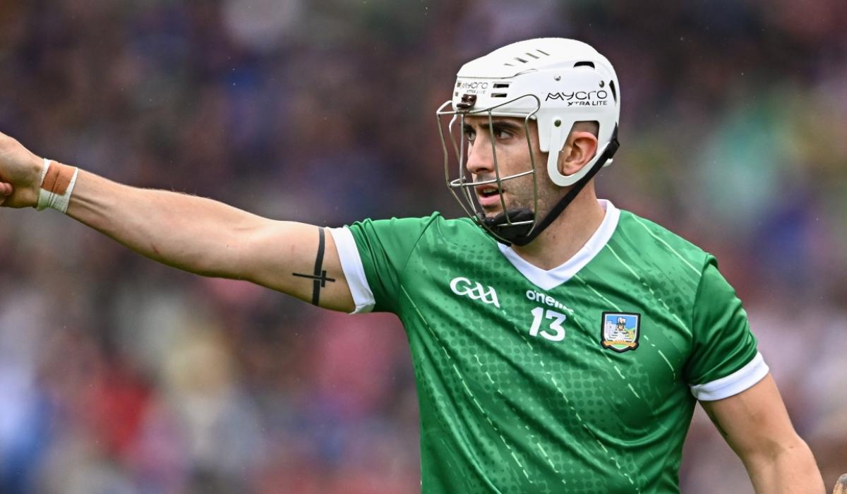Limerick duo in the running for RTÉ Sport Sportsperson of the Year ...