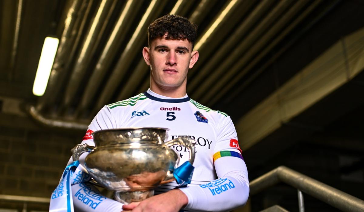 Plenty of Limerick interest as Fitzgibbon and Sigerson Cup provisional ...