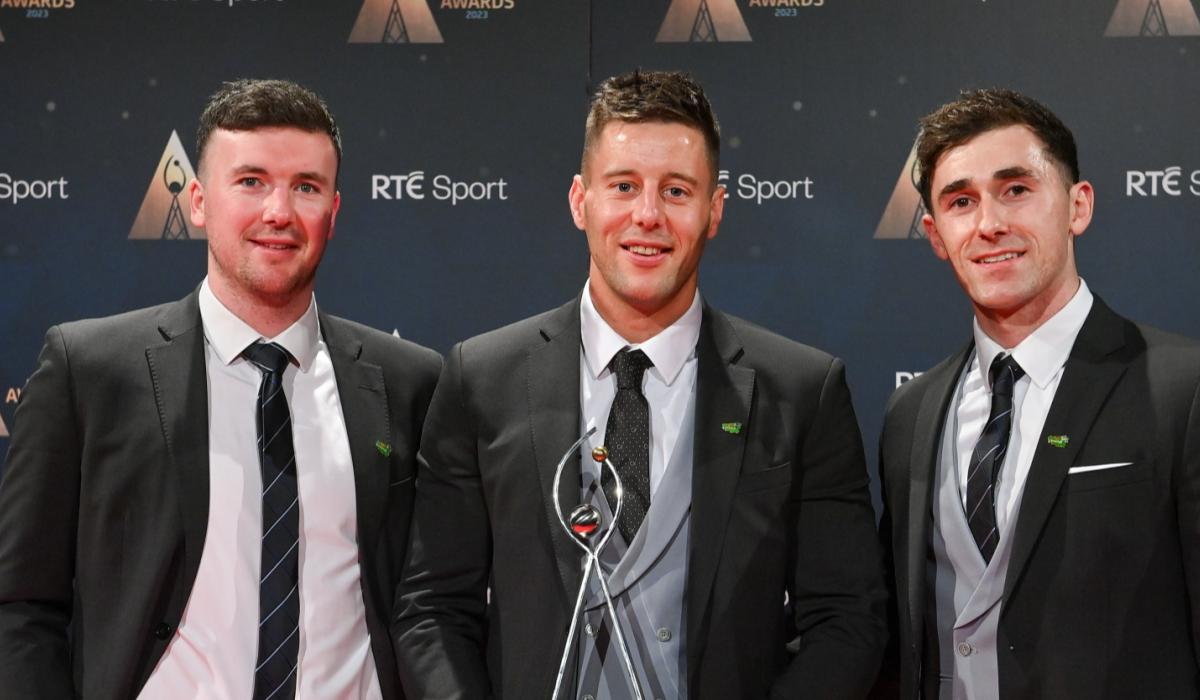 Limerick senior hurlers earn RTÉ Sport Team of the Year award ...