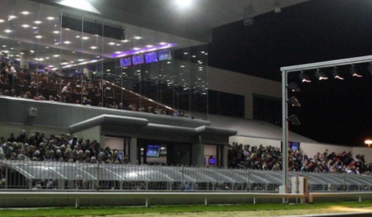 Donal Scanlon Memorial begins in Limerick Greyhound Stadium - Limerick Live