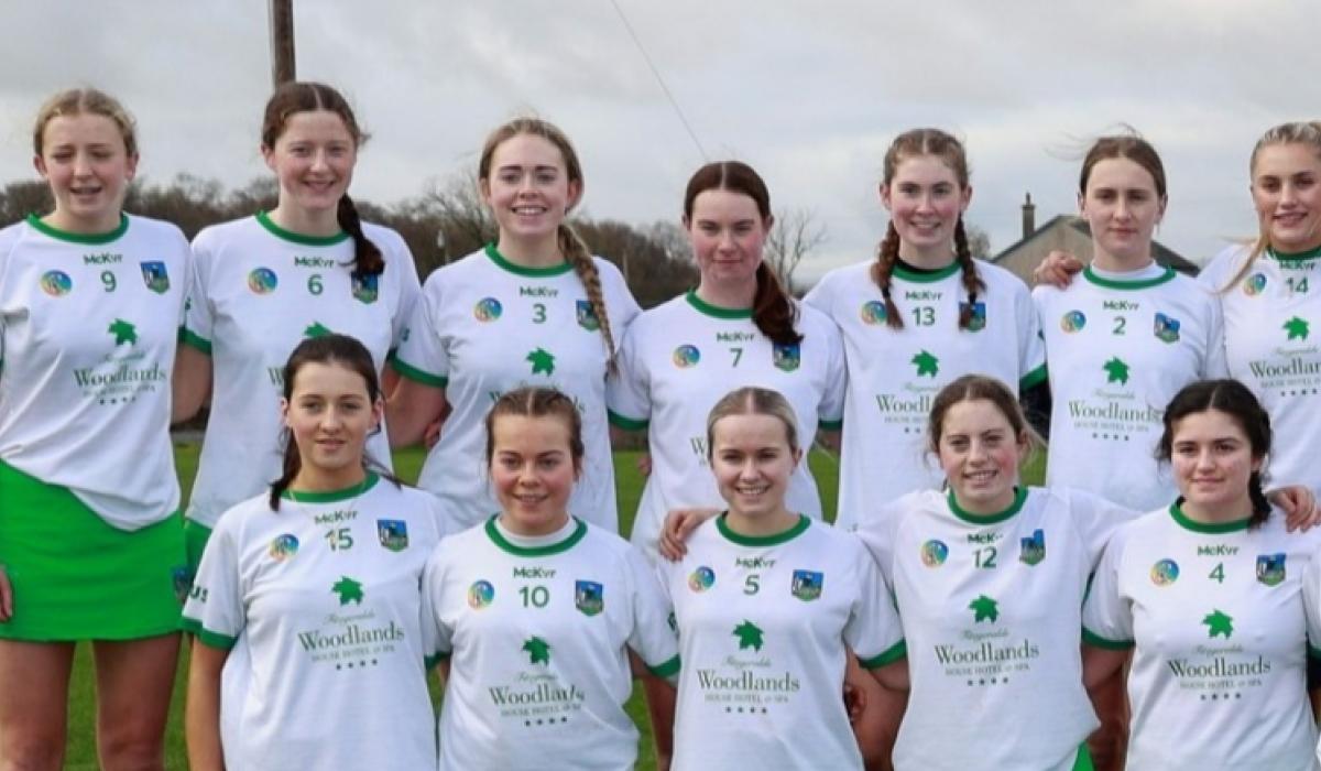 Limerick minor camogie team earn Munster quarter-final win over Clare ...