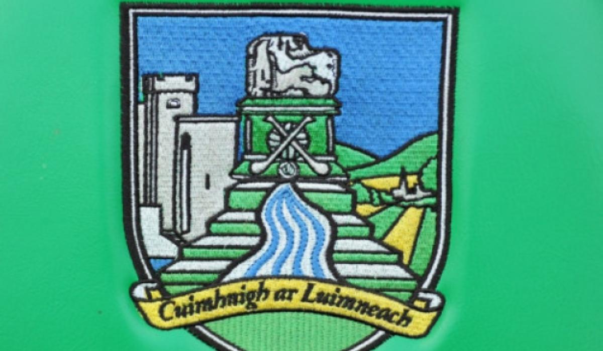 Limerick Football Academy squads named for three tournaments - Limerick ...