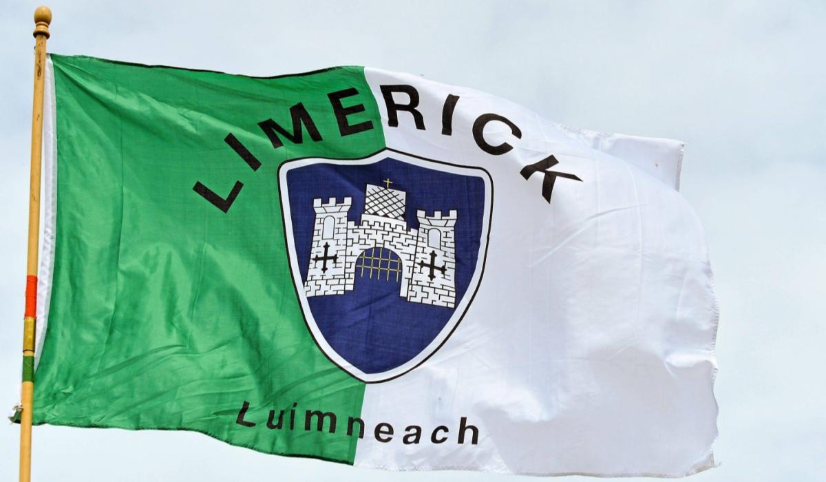 Two Limerick clubs go in search of glory in Munster Ladies Football ...