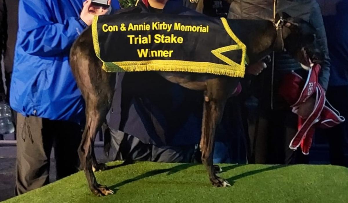 Excitement builds for Con and Annie Kirby Memorial start - Limerick Live