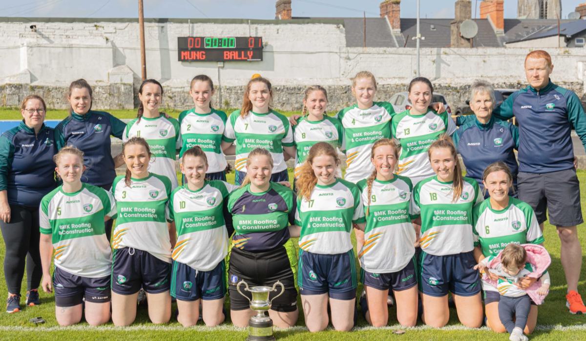 Ballylanders win LWSSL Limerick Division Two Cup but it's heartbreak ...