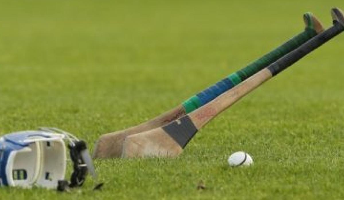 Limerick's Fitzgerald named on Electric Ireland minor hurling team of ...