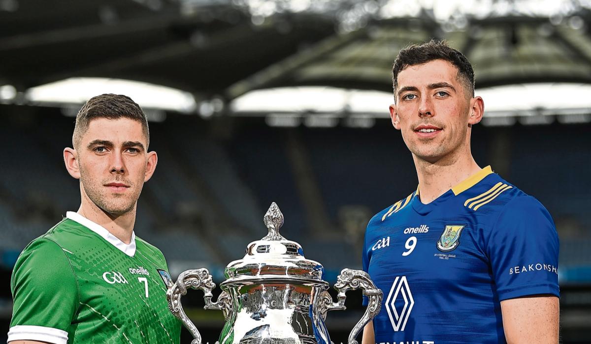 Fitzgerald praises Limerick players after reaching Tailteann knock-out ...