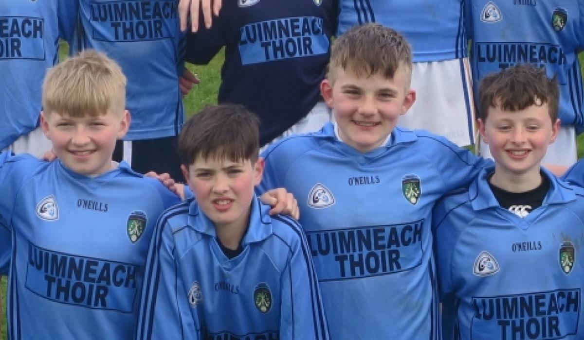 East Limerick claim Sarsfield Cup to complete famous double - Limerick Live