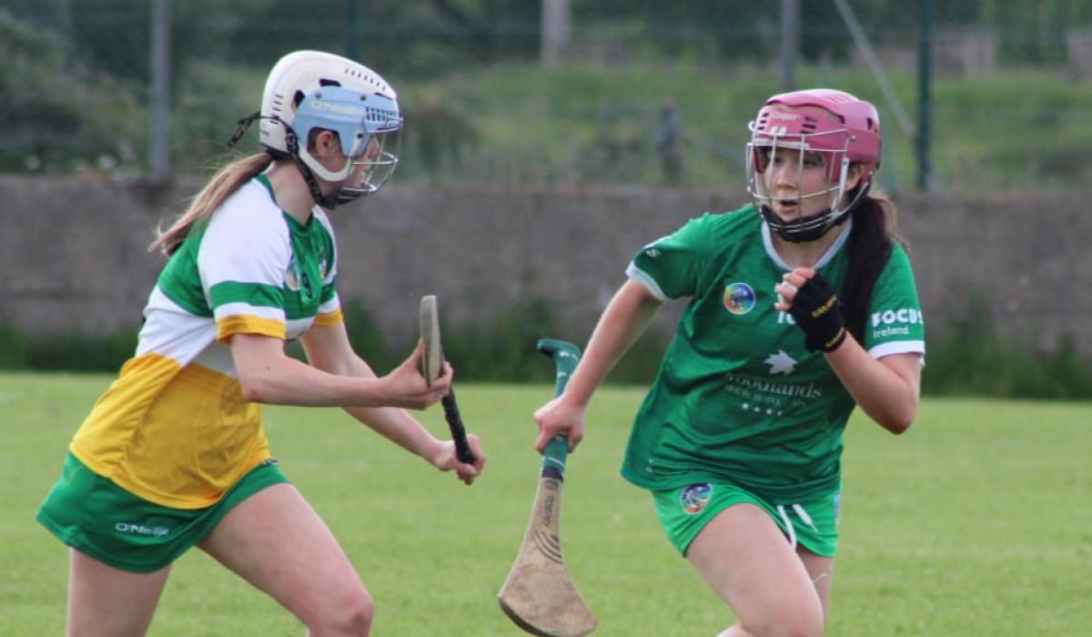 Limerick begin All-Ireland junior camogie championship with big win ...