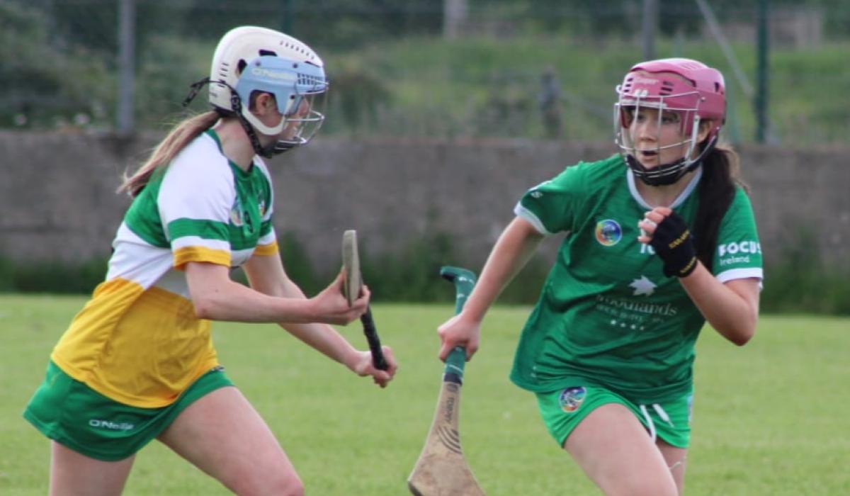 Limerick junior camogie team face Mayo in crucial fixture - Limerick Live
